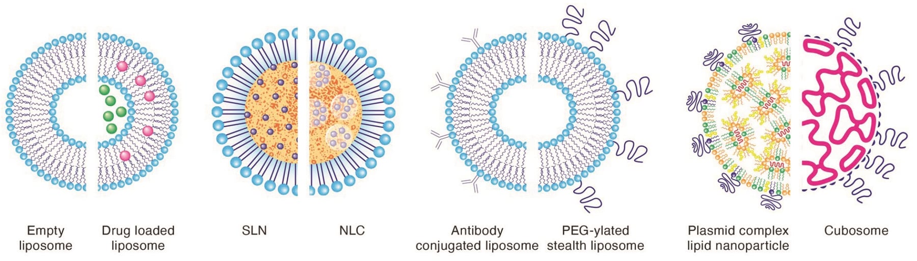 Lipidsol - Lipid Nanoparticle Technology