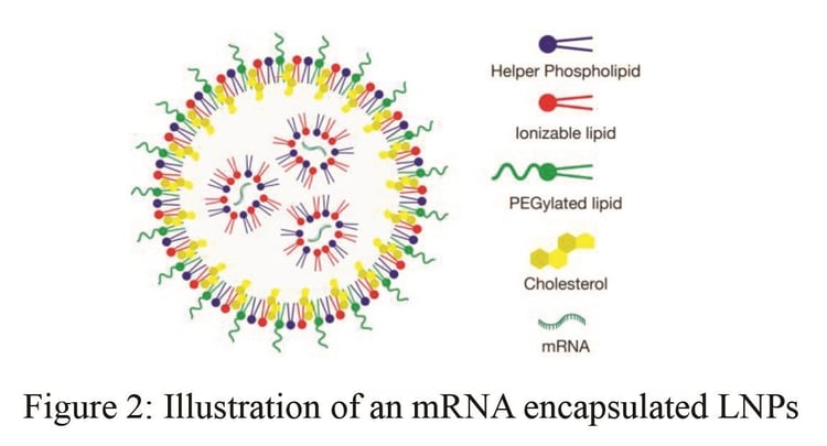Lipid Nanoparticles for Delivery of Nucleic Acids