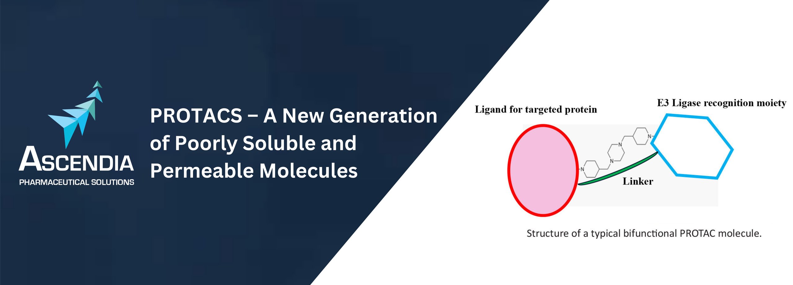 PROTACS – A New Generation of Poorly Soluble and Permeable Molecules ...