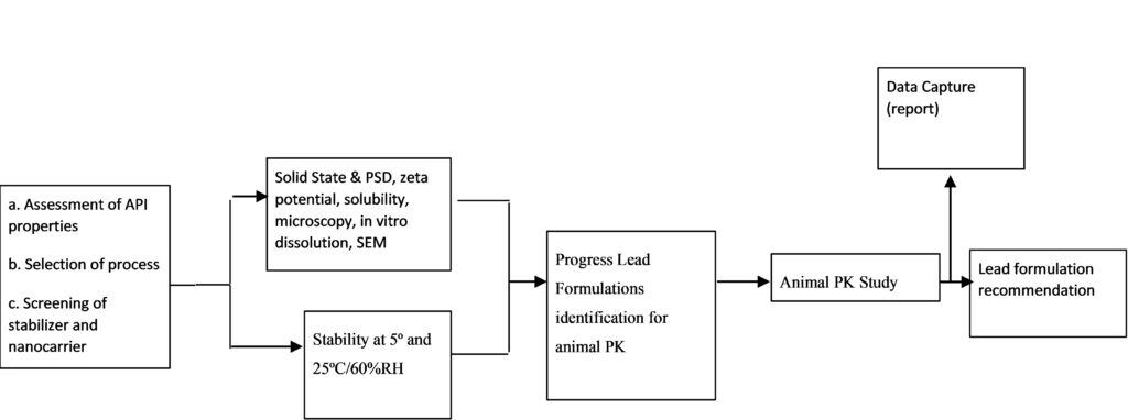 Amorphous Nanoparticles for Drug Delivery of Poorly Water-Soluble Compounds